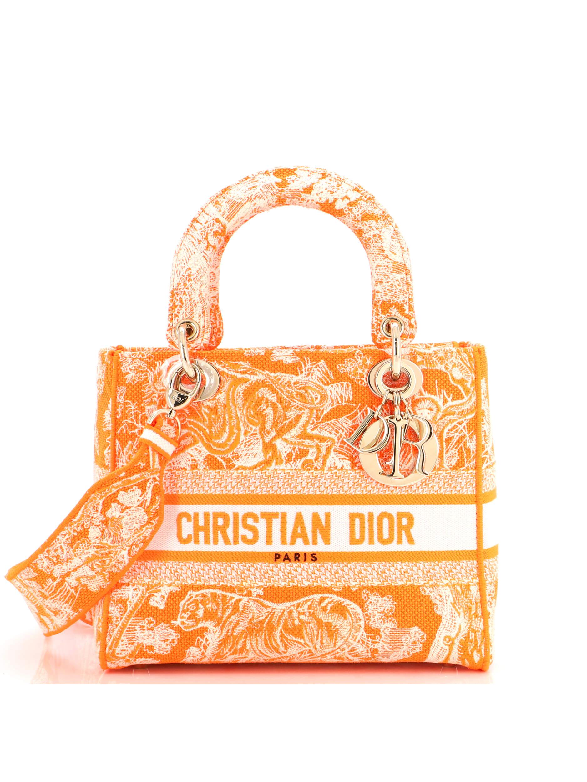 Christian Dior 100% Canvas Orange Lady D-Lite Bag Embroidered Canvas ...