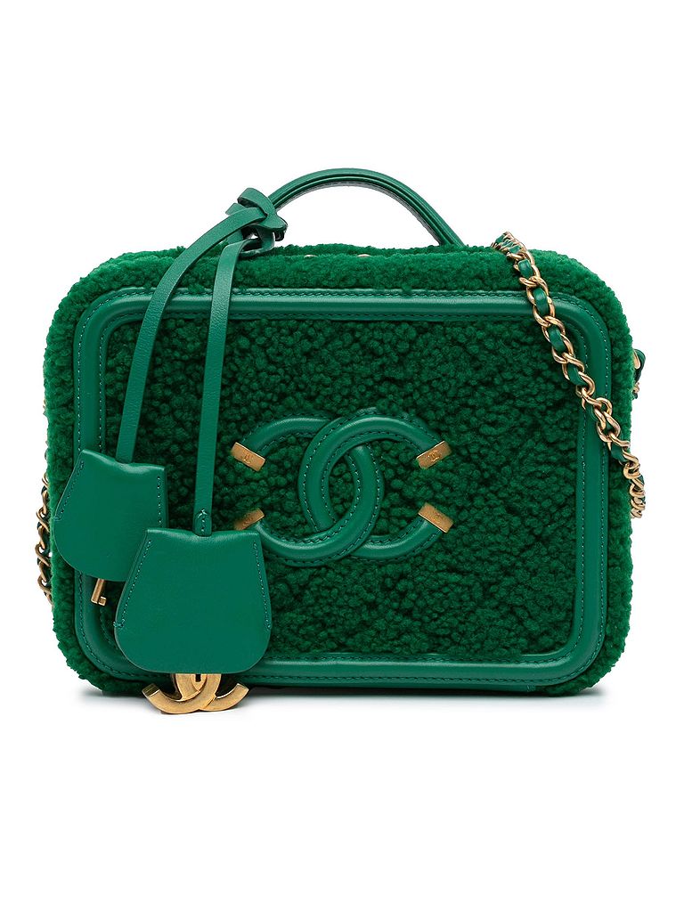 Chanel 100% Fur Fiber Green Medium Shearling CC Filigree Vanity Case ...